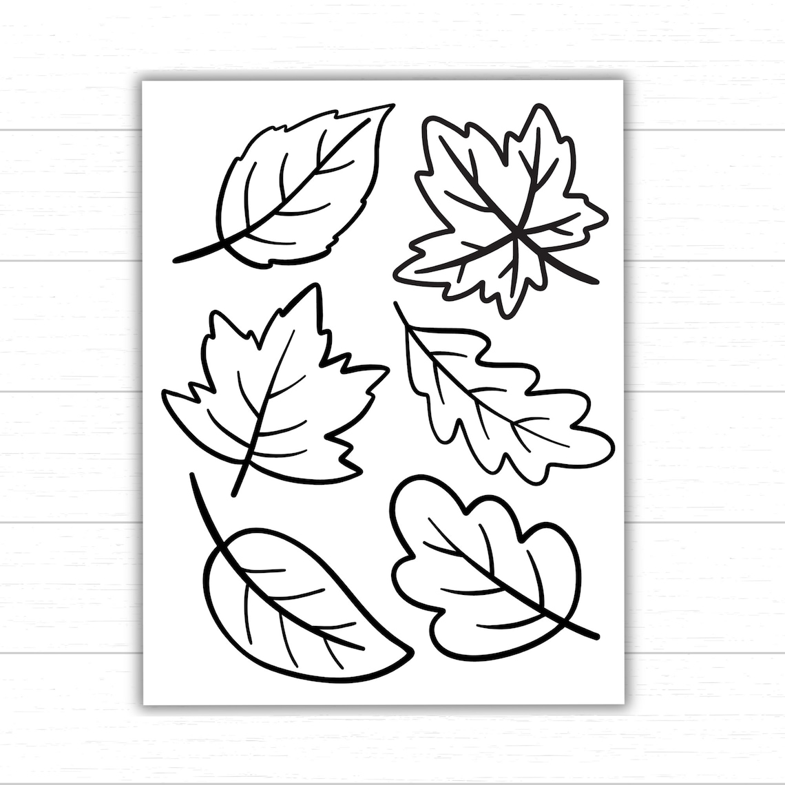 Leaf Coloring Pages for Kids Printable Pack, Fall Autumn Leaves ...