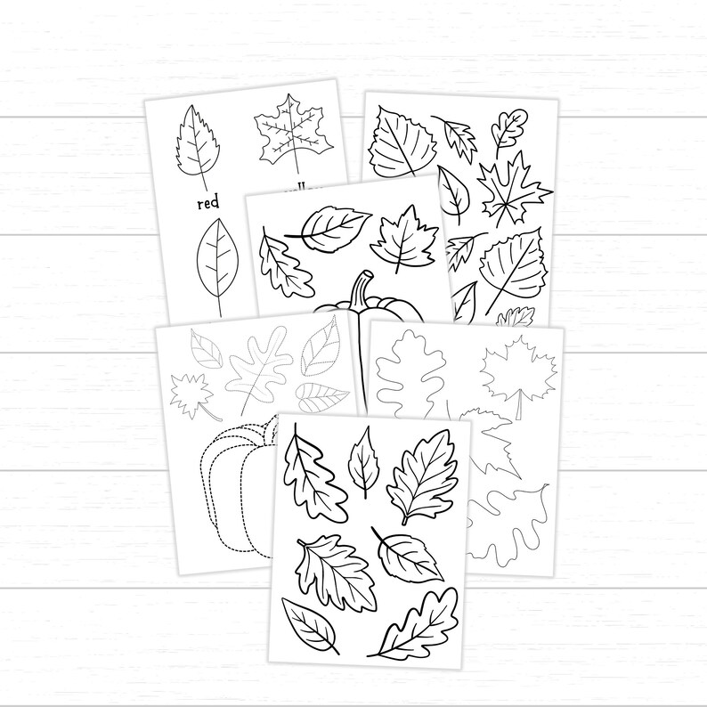 Fall Leaf Coloring Pages, Fall Leaf Activities, Fall Leaf Activity Pack ...