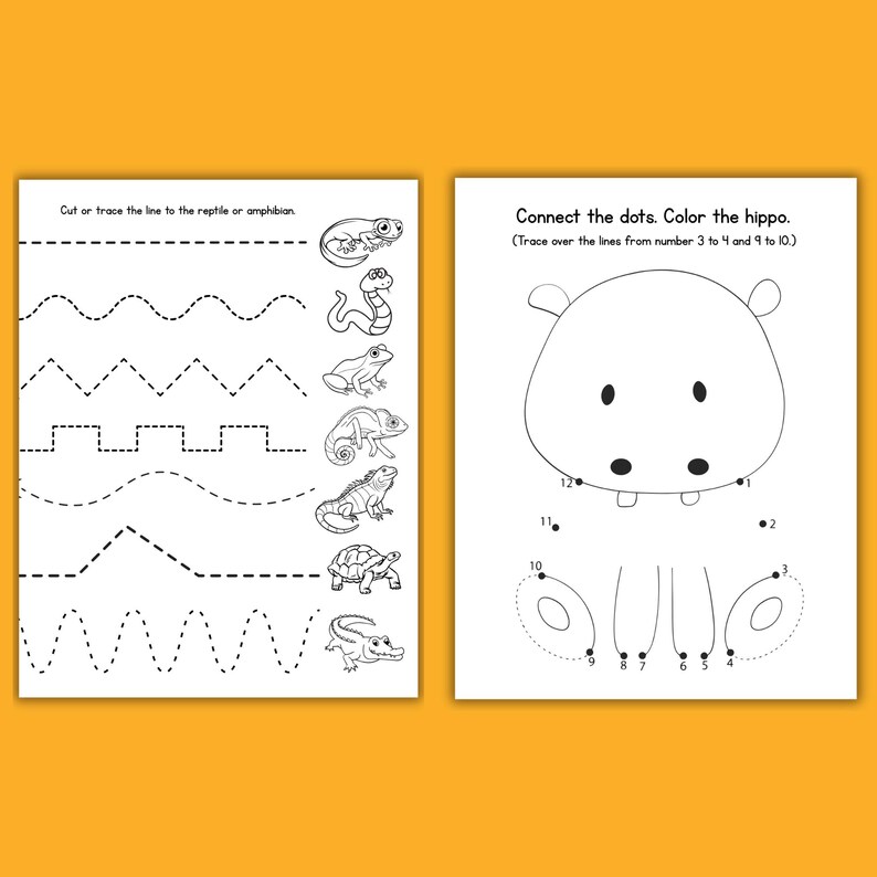Zoo Activity Pack Printable for Preschool and Kindergarten, Printable ...