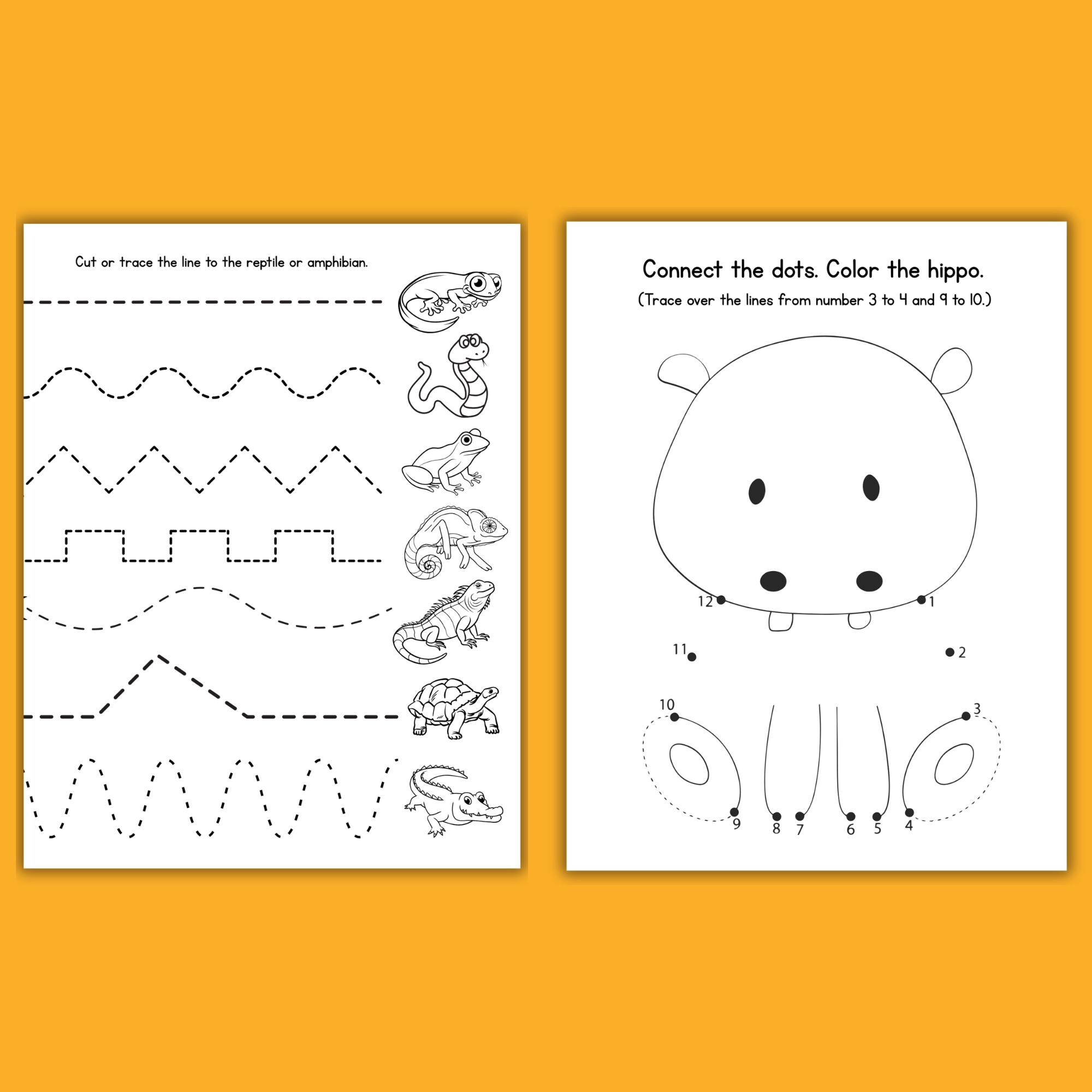 Zoo Activity Pack Printable for Preschool and Kindergarten, Printable ...