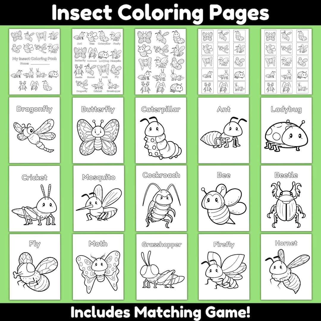 Insect Coloring Pages 20-page Pack | Bugs Activity Pack for Kids ...