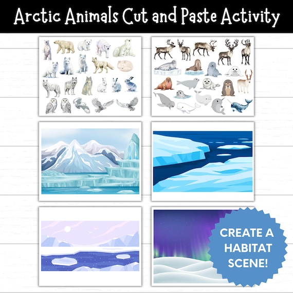 Polar Habitat Animals Printable