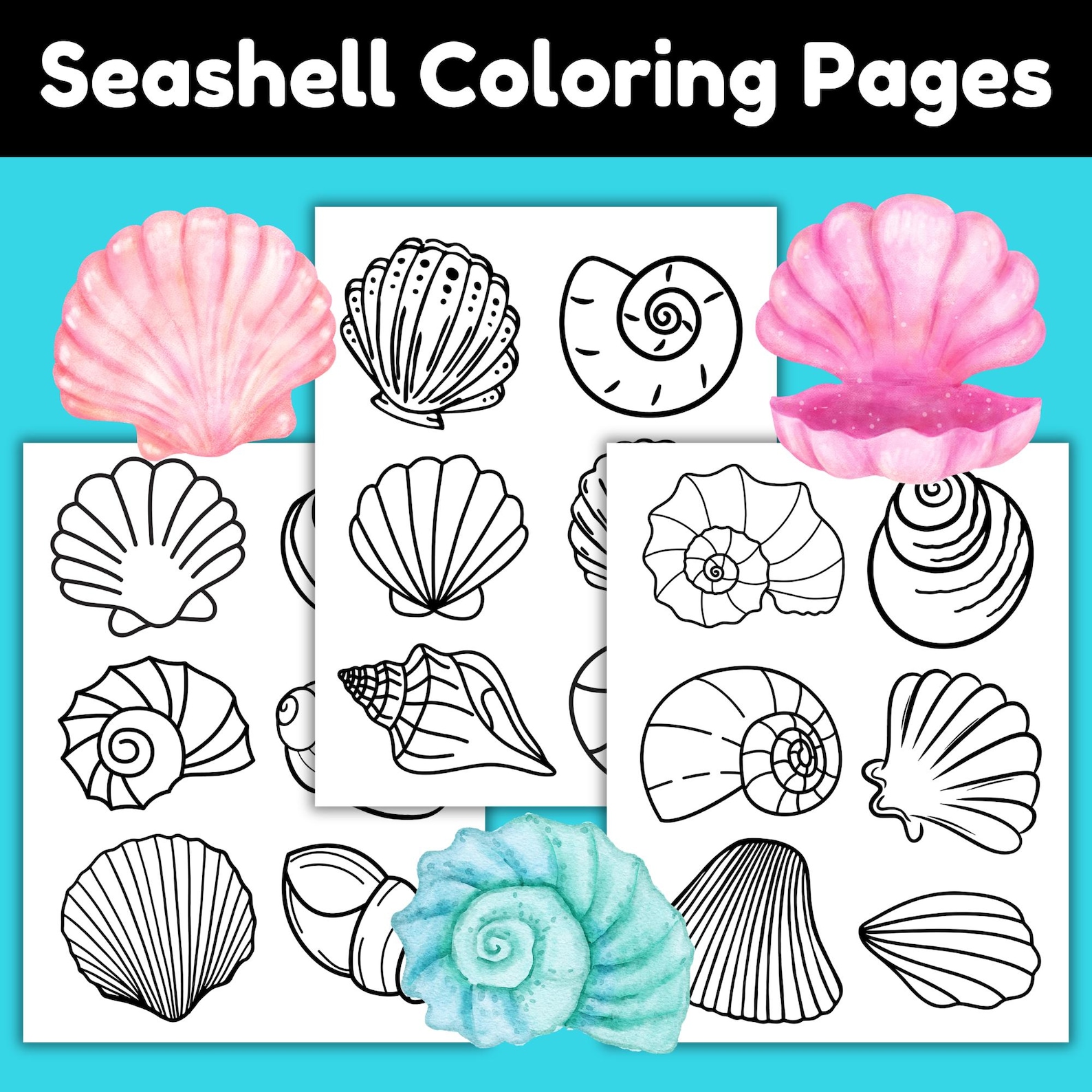 Seashell Coloring Pages Printable, Blank Seashell Templates for Crafts ...