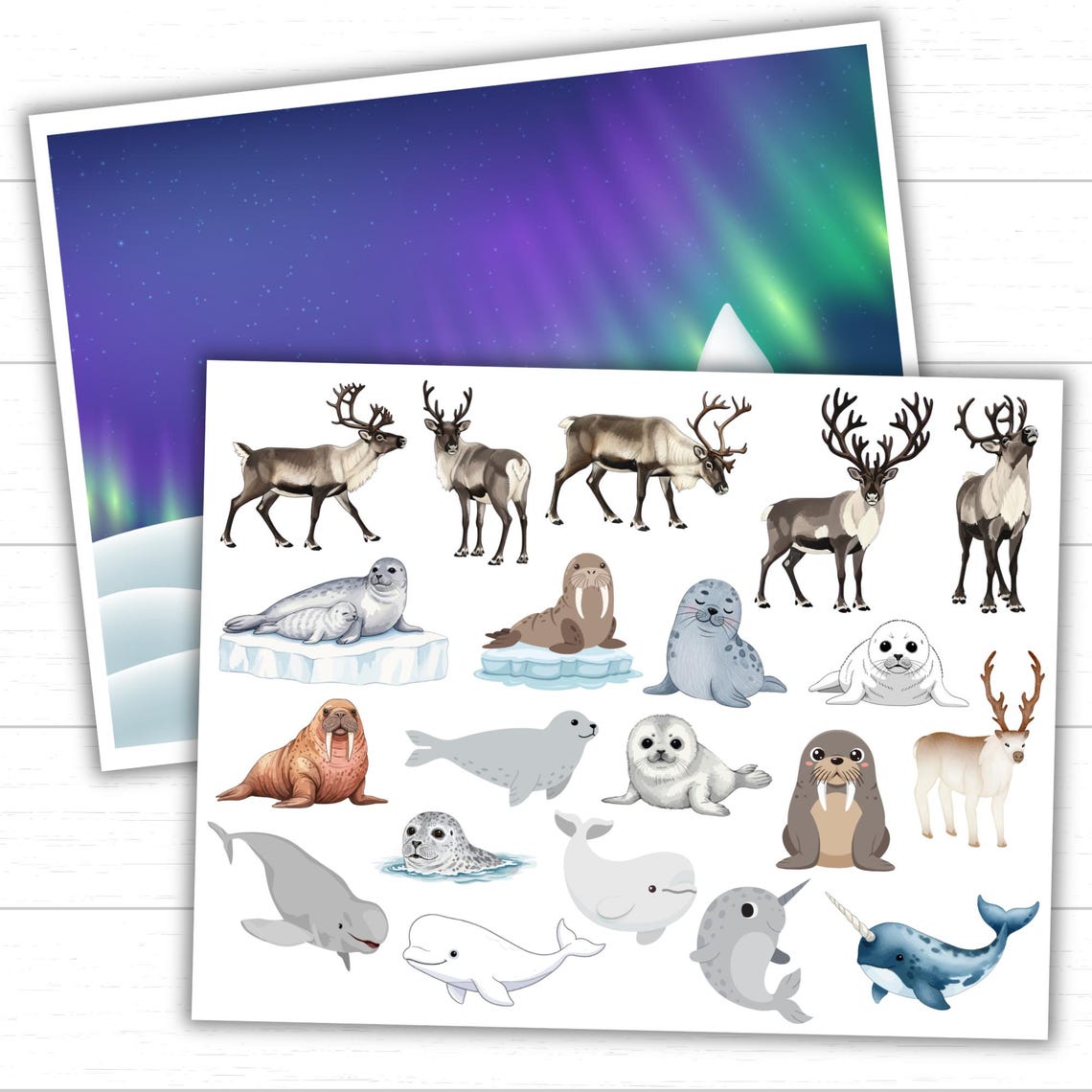 Arctic Animals Cut and Paste Activity, Arctic Habitat Scenes Printable ...