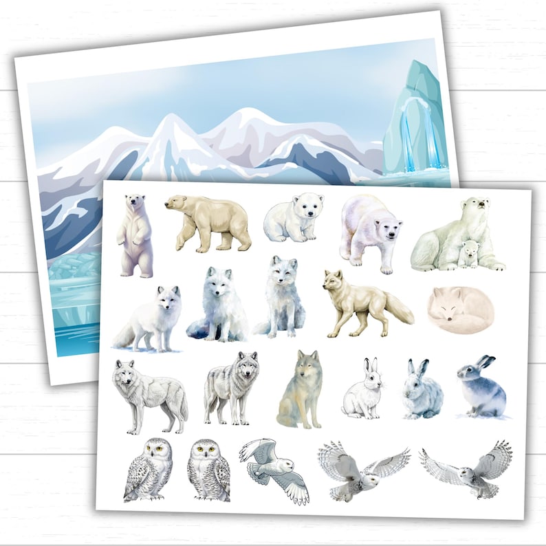 Arctic Animals Cut and Paste Activity, Arctic Habitat Scenes Printable ...