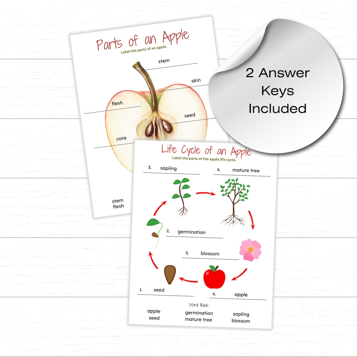 Apple Activity Pack for Kids, Printable Learning Bundle, Apple ...