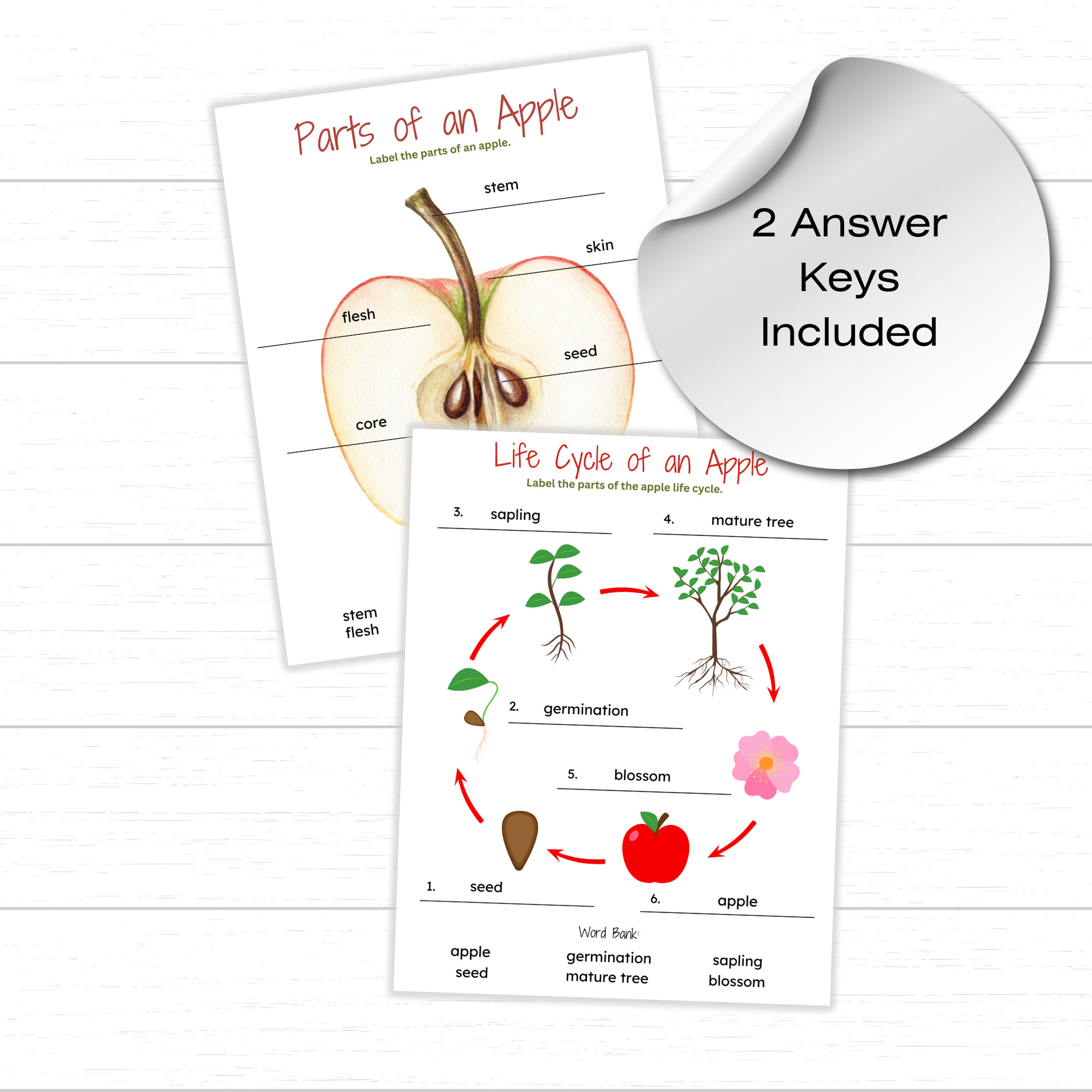 Apple Activity Pack for Kids, Printable Learning Bundle, Apple ...