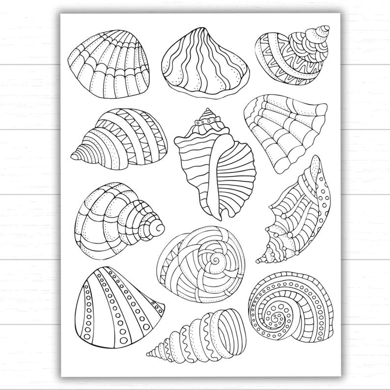 Printable Seashell Coloring Page, Beach Coloring Sheet, Shell Crafts ...