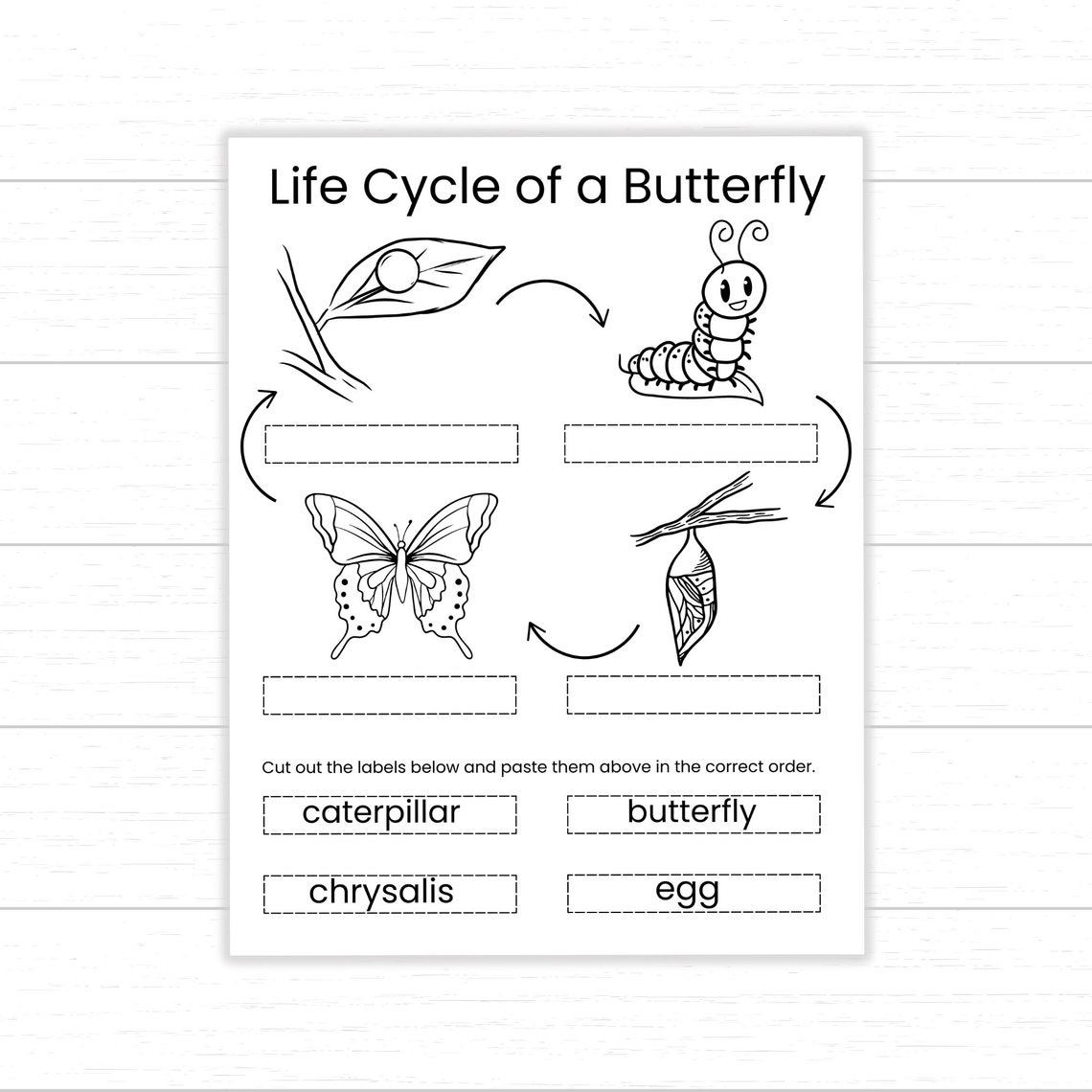 Life Cycle of a Butterfly Cut and Paste Activity, Printable Butterfly ...