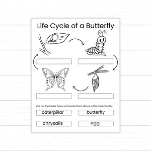 Life Cycle of a Butterfly Cut and Paste Activity, Printable Butterfly ...