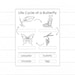 Life Cycle of a Butterfly Cut and Paste Activity, Printable Butterfly ...