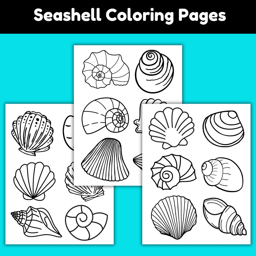 Seashell Coloring Pages Printable, Blank Seashell Templates for Crafts ...