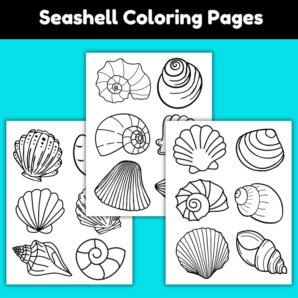 Seashell Coloring Pages Printable, Blank Seashell Templates for Crafts ...