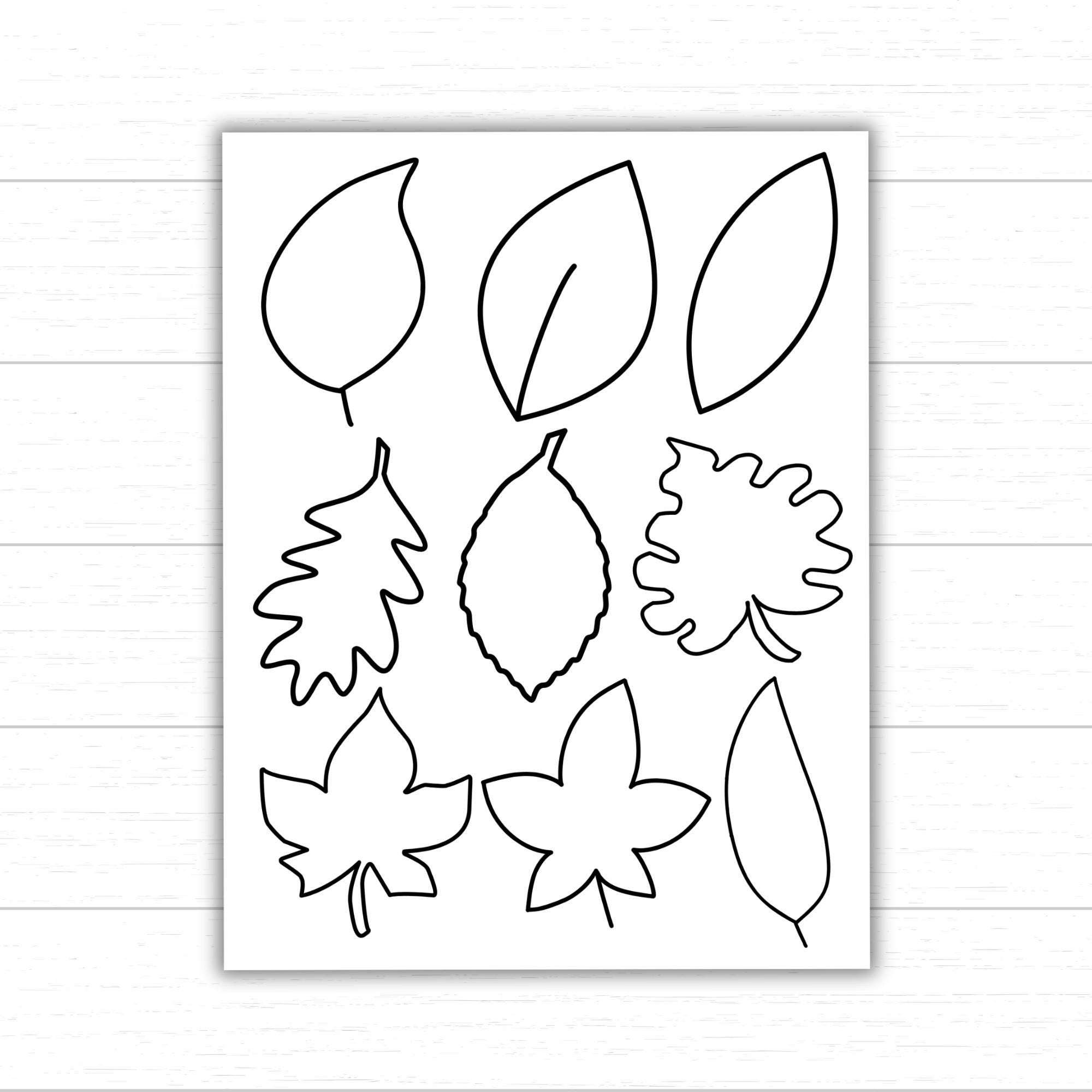 Spring Leaf Templates Printable, Leaf Outlines for Crafts, Leaf ...