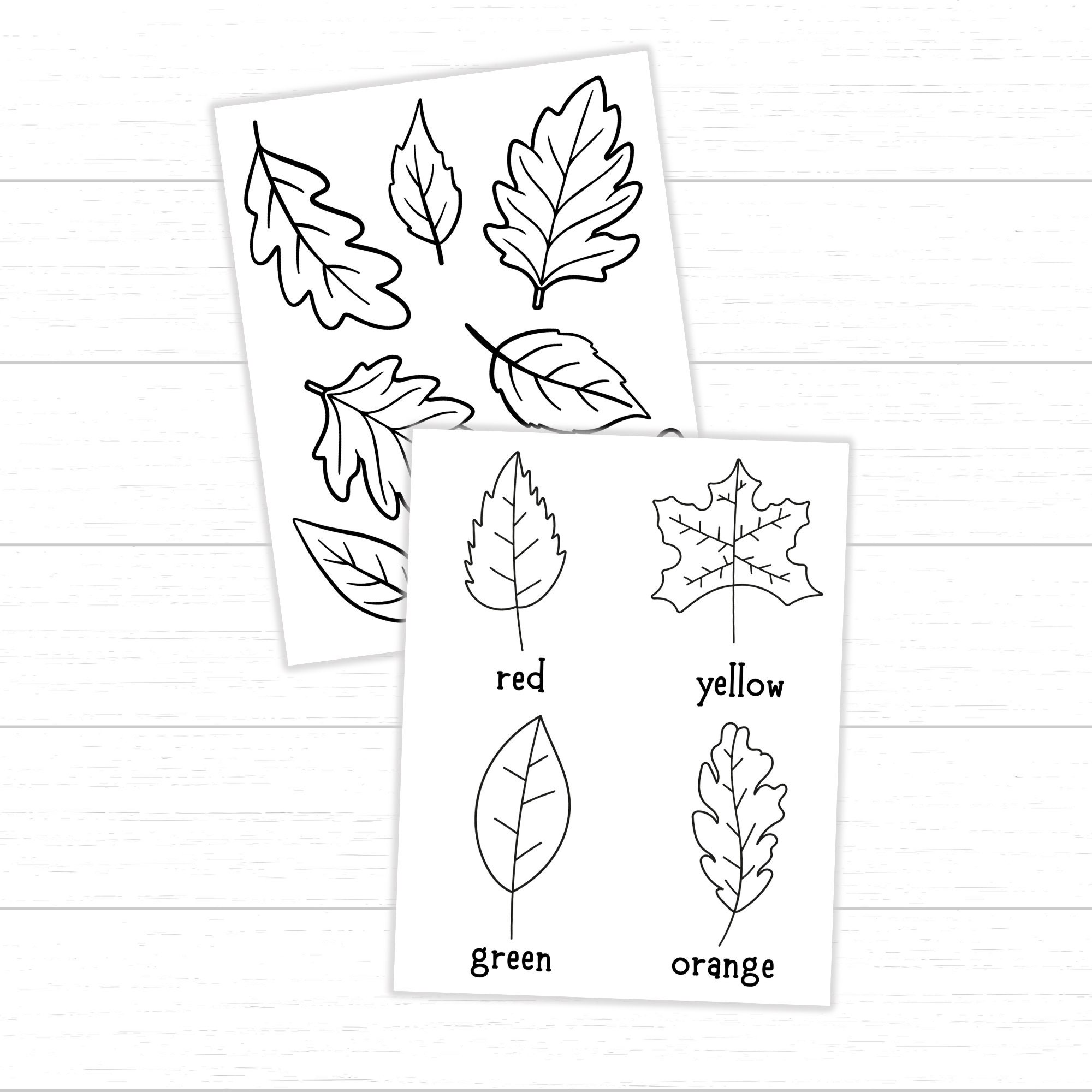 Fall Leaf Coloring Pages, Fall Leaf Activities, Fall Leaf Activity Pack ...