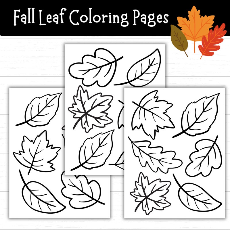 Fall Leaf Coloring Sheets - Etsy