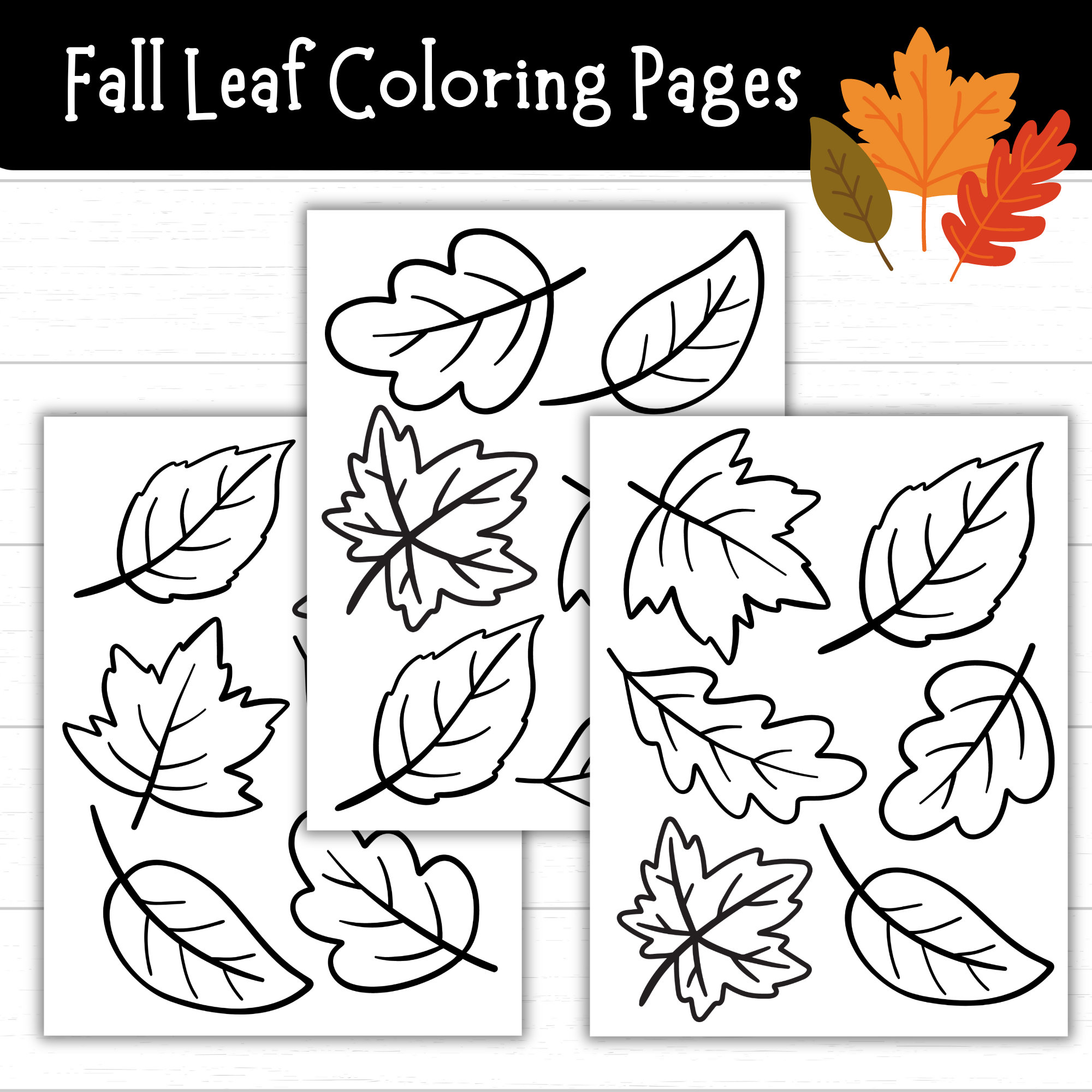 Fall Leaf Coloring Pages, Leaf Printables, Autumn Leaf Coloring Sheets ...
