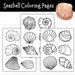 Seashell Coloring Pages Printable, Seashell Templates to Color and Cut ...