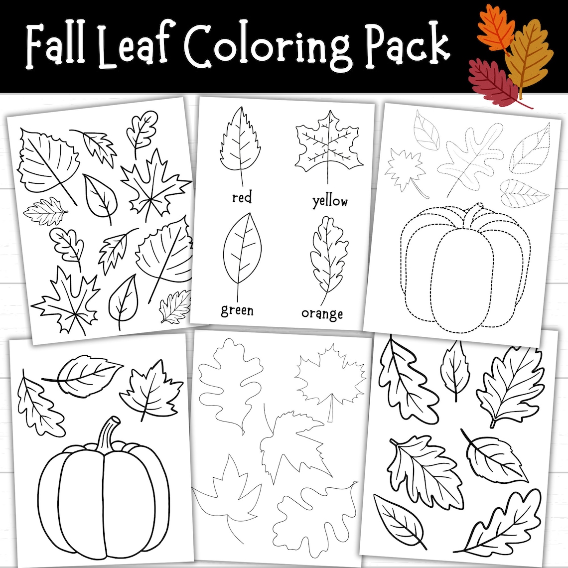 Fall Leaf Coloring Pages, Fall Leaf Activities, Fall Leaf Activity Pack ...