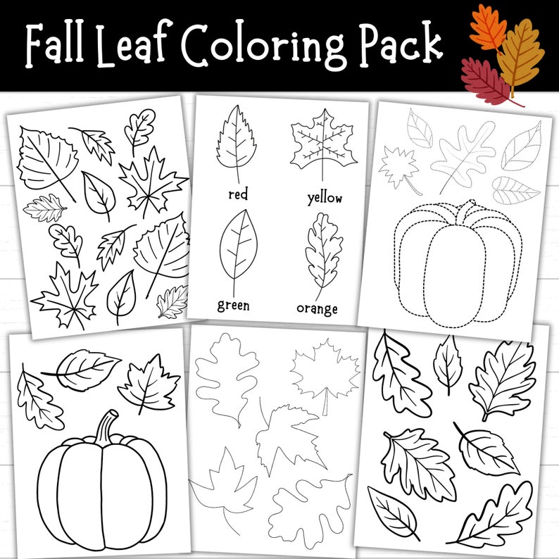 Fall Leaf Coloring Pages, Fall Leaf Activities, Fall Leaf Activity Pack ...