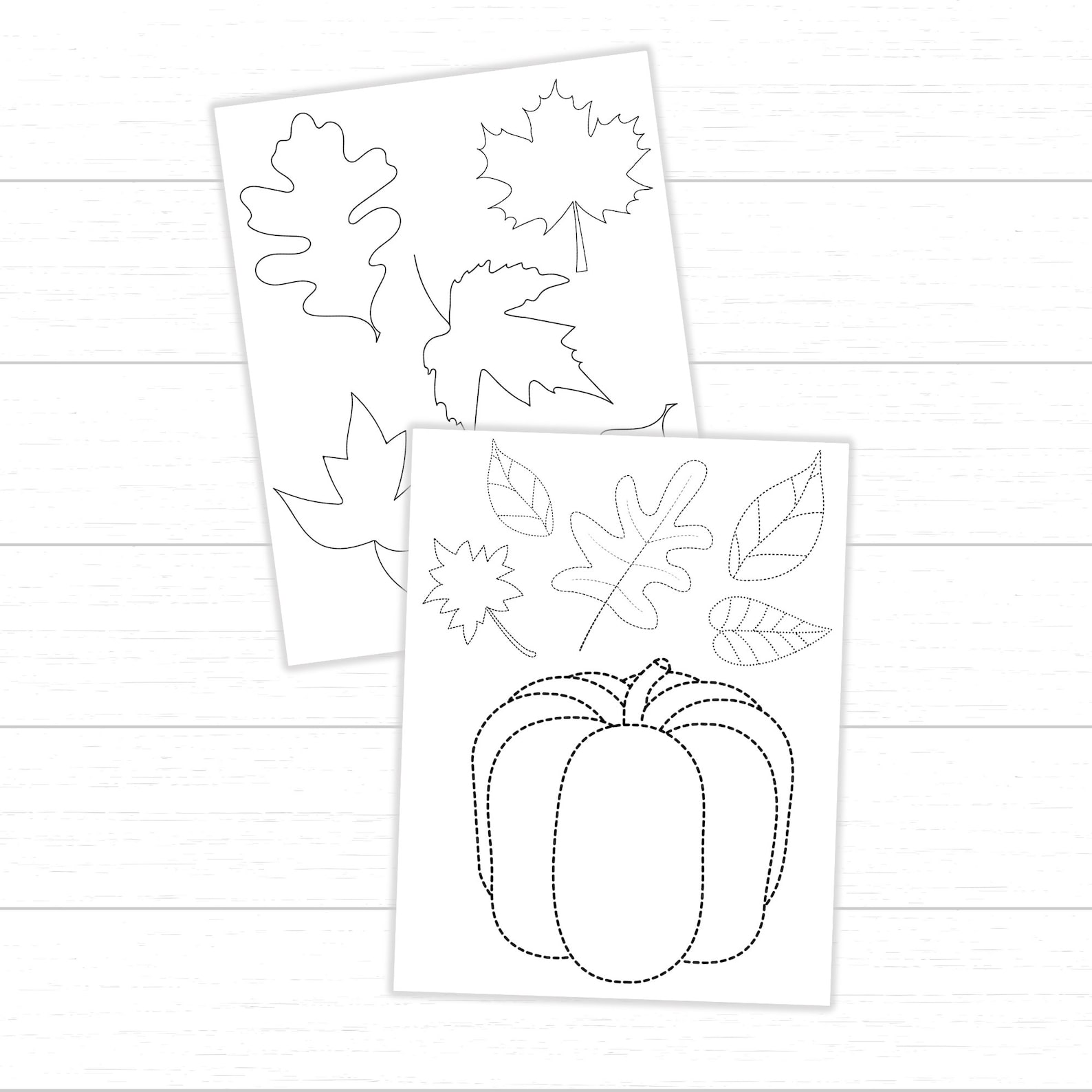 Fall Leaf Coloring Pages, Fall Leaf Activities, Fall Leaf Activity Pack ...