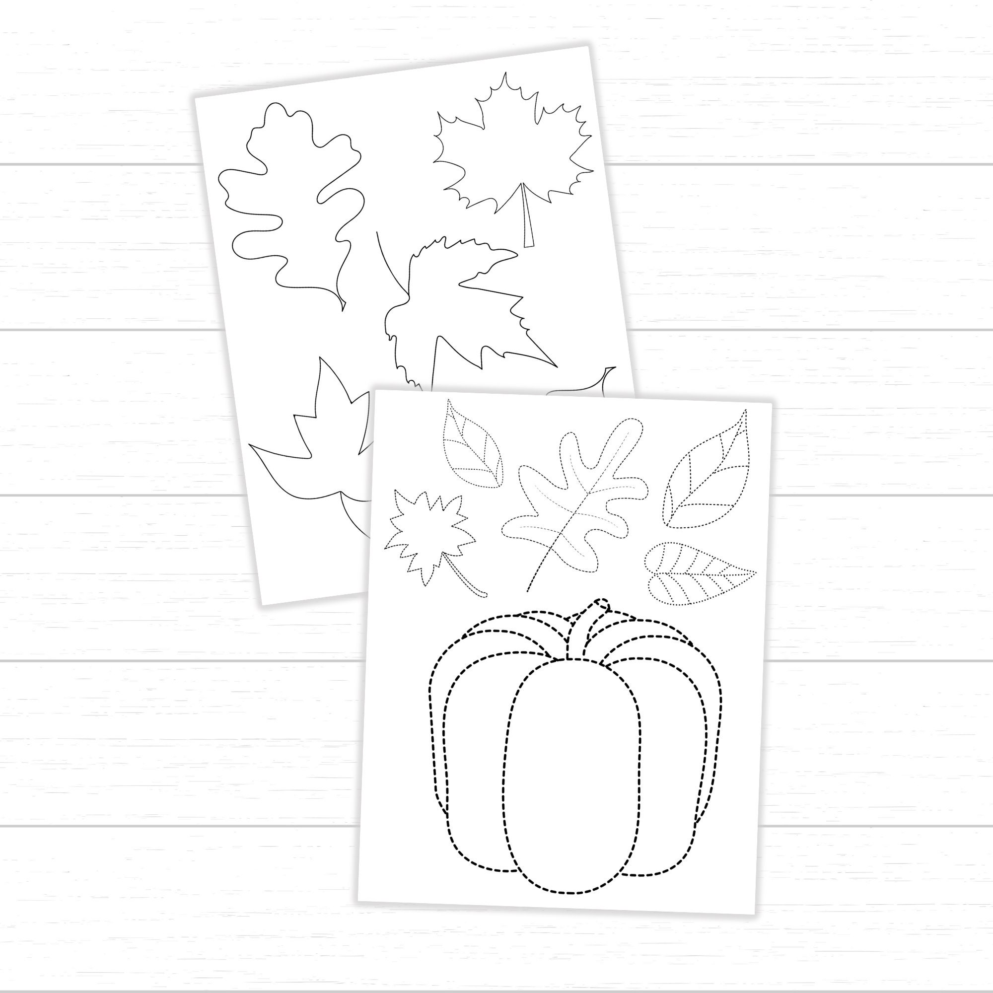 Fall Leaf Coloring Pages, Fall Leaf Activities, Fall Leaf Activity Pack ...