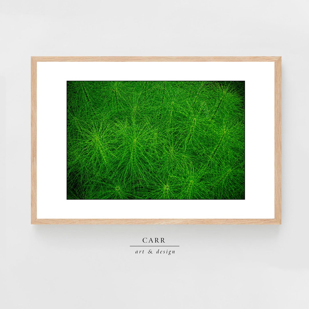 Home Decor A Printed Photograph of Light & Flowy Texture of Soft Green ...