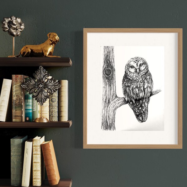 Pen and Ink Owl Art - Etsy