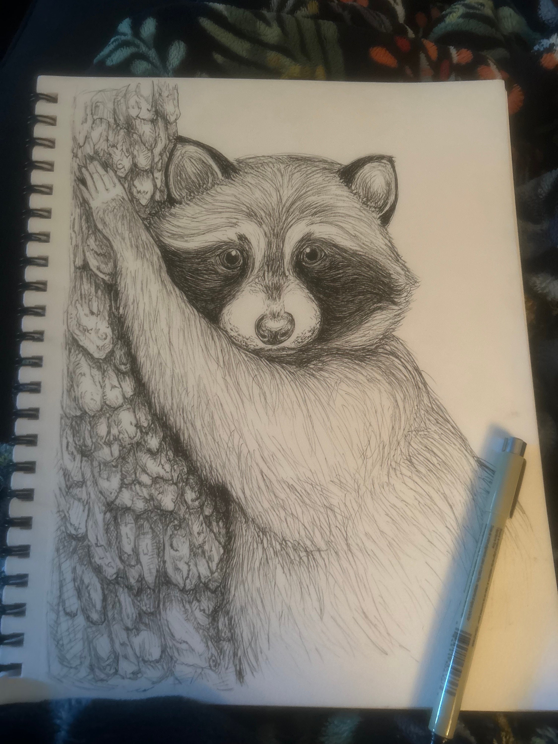 Hand Drawn Raccoon Pen and Ink Drawing - Etsy