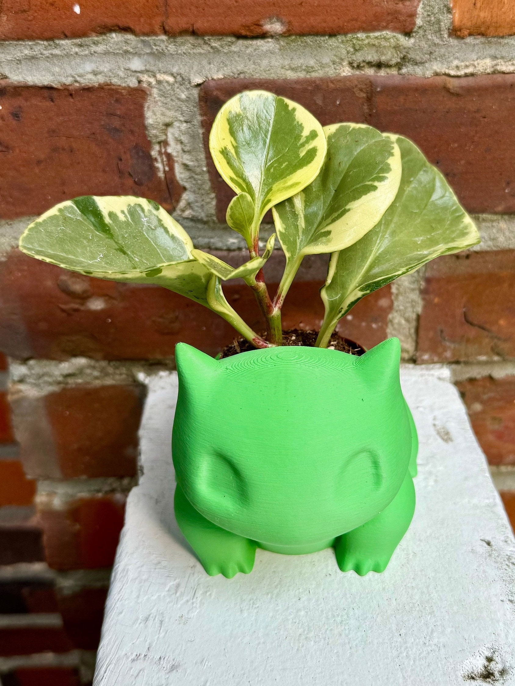 Planter Bulbasaur Pokémon Pot 3D Printed for Small Starter Plants - Etsy