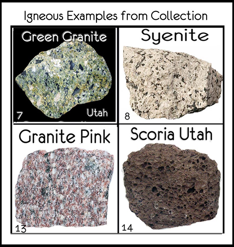 Igneous Rock Collection. Earthcore Learning 18 Organized Real Rock ...