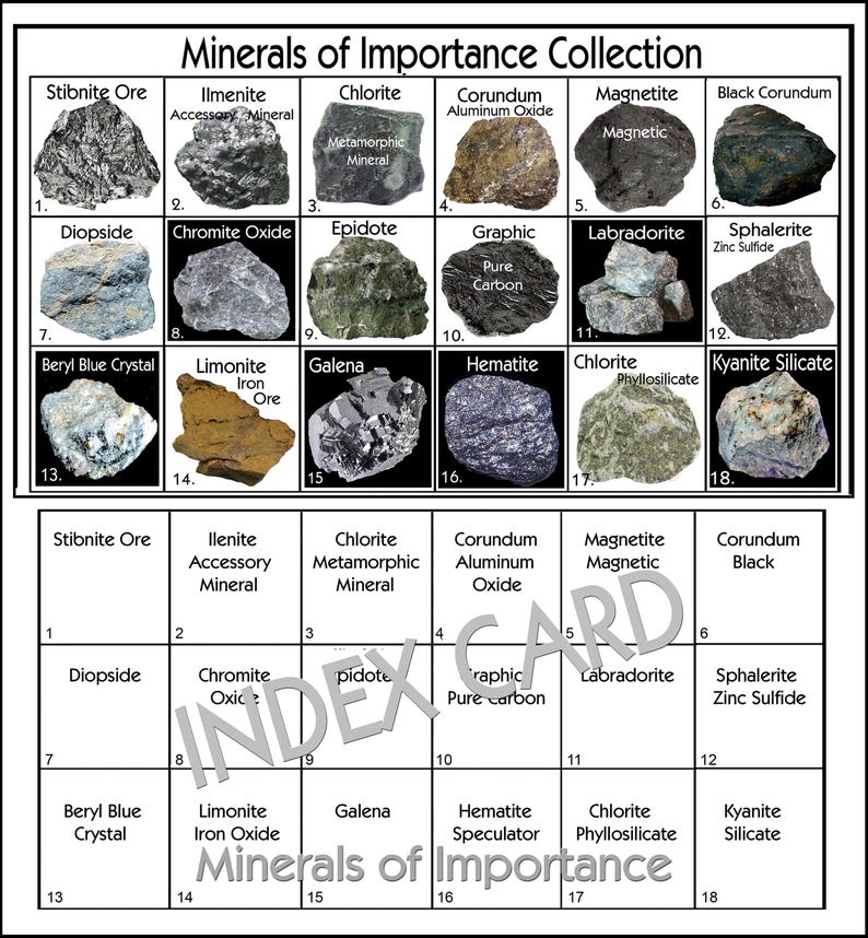 Minerals of Importance Collection – 18 Numbered Specimens, Display Case ...