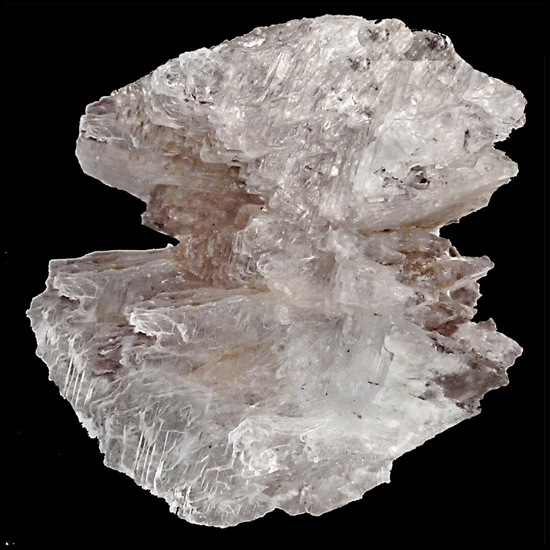 Angel Wing Selenite, Crystal Fishtail Selenite Very Rare, From Southern ...