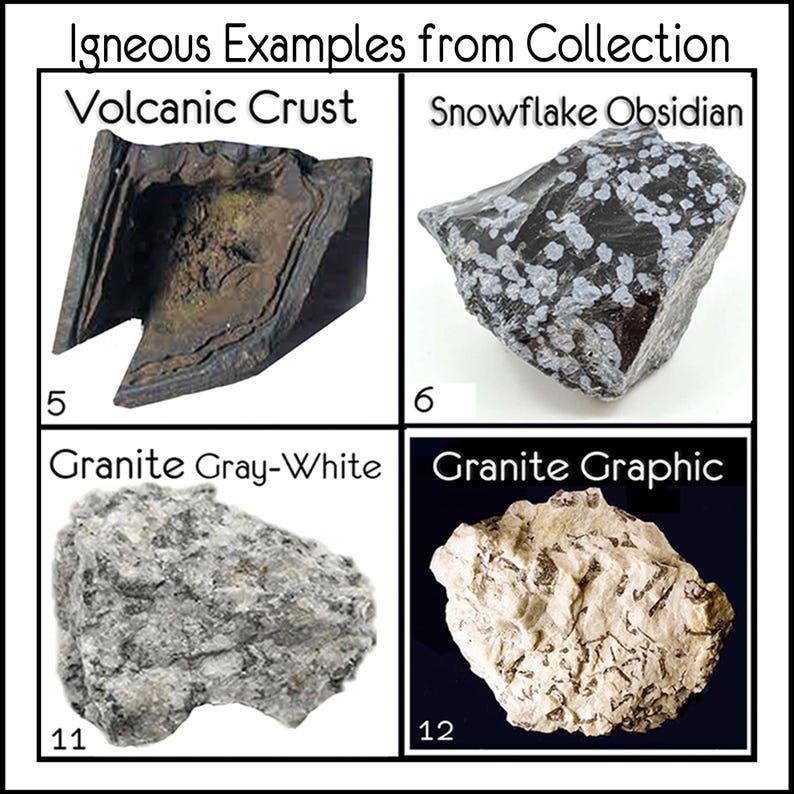 Igneous Rock Collection. Earthcore Learning 18 Organized Real Rock ...