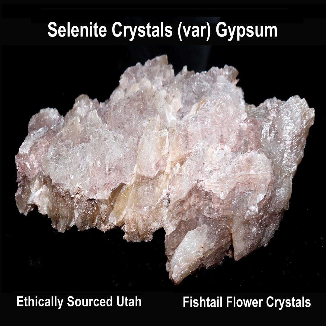 Gypsum (var)selenite Fishtail Flower Crystal, Collectable Specimen ...