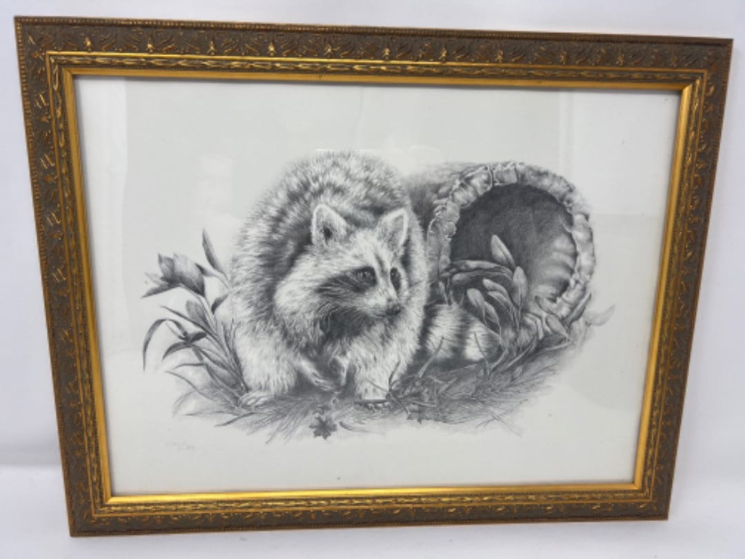 Racoon Print, Signed and Numbered - Etsy