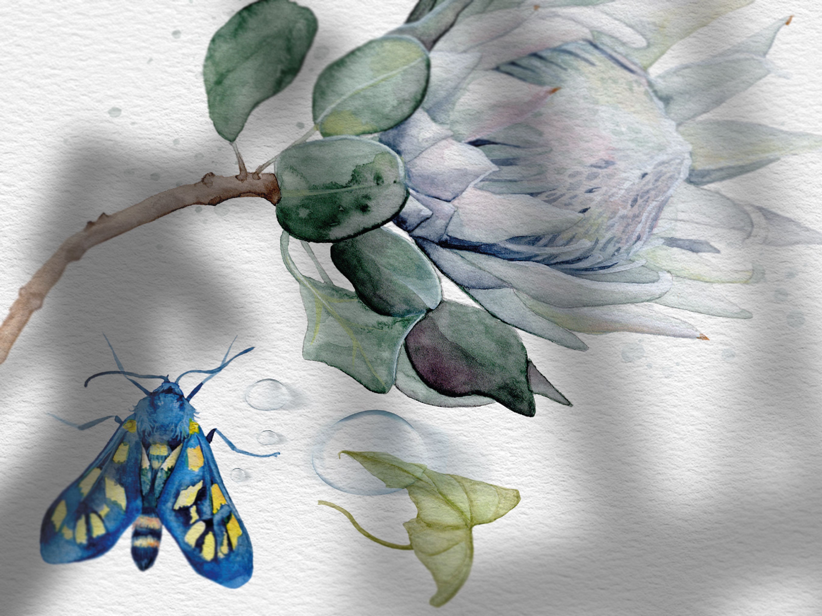 Printable King Protea Flower Bookmark Download Bundle Set of 4 Nature ...