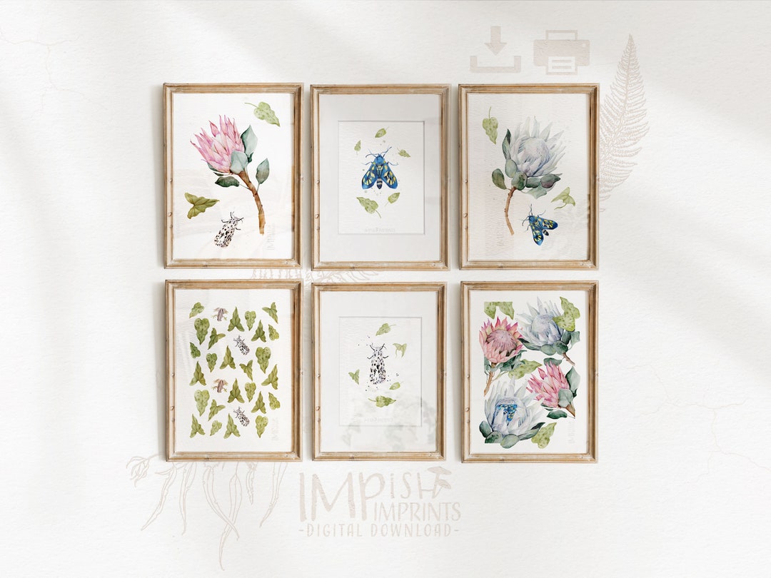 King Protea Printable Gallery Wall Art Poster Set of 3 Pink Protea ...