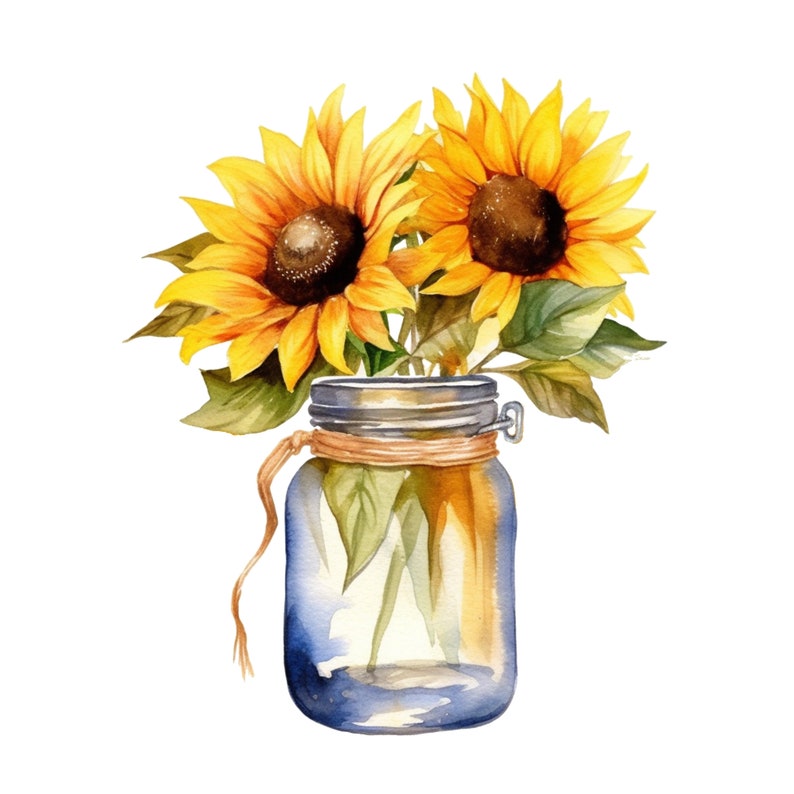 Sunflowers Set of 7, Sunflower Mason Jar Clipart Bundle, Transparent ...