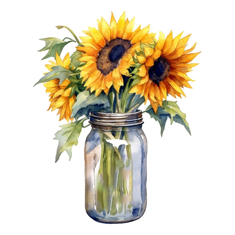 Sunflowers Set of 7, Sunflower Mason Jar Clipart Bundle, Transparent ...