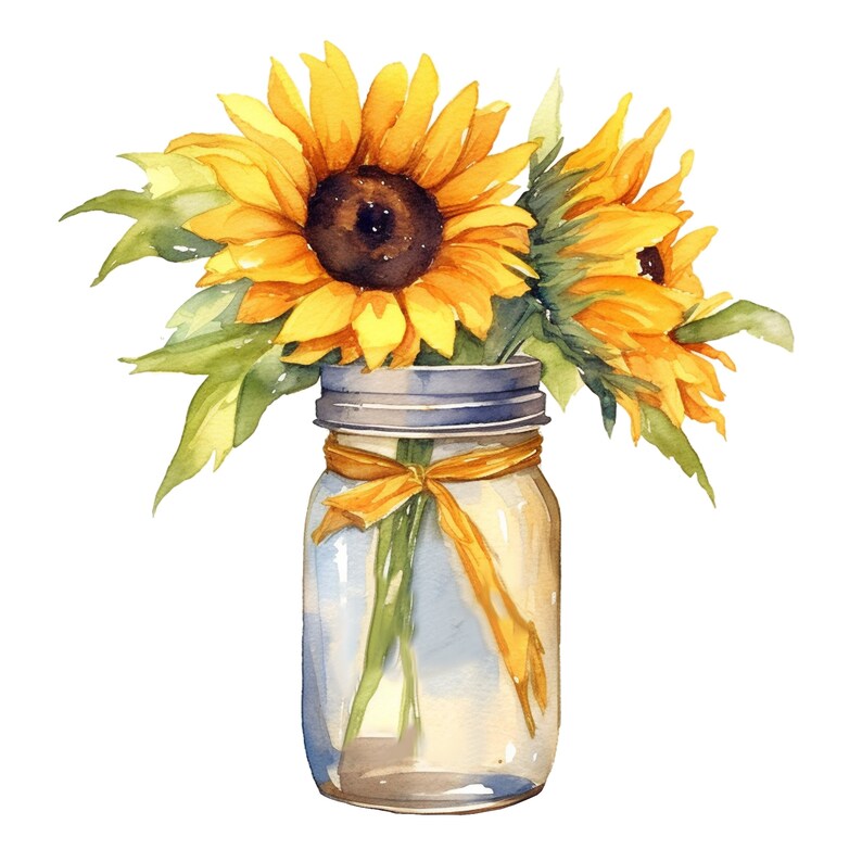 Sunflowers Set of 7, Sunflower Mason Jar Clipart Bundle, Transparent ...