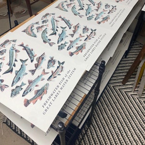 Freshwater Fish of the Great Lakes Water System Screenprint - Etsy