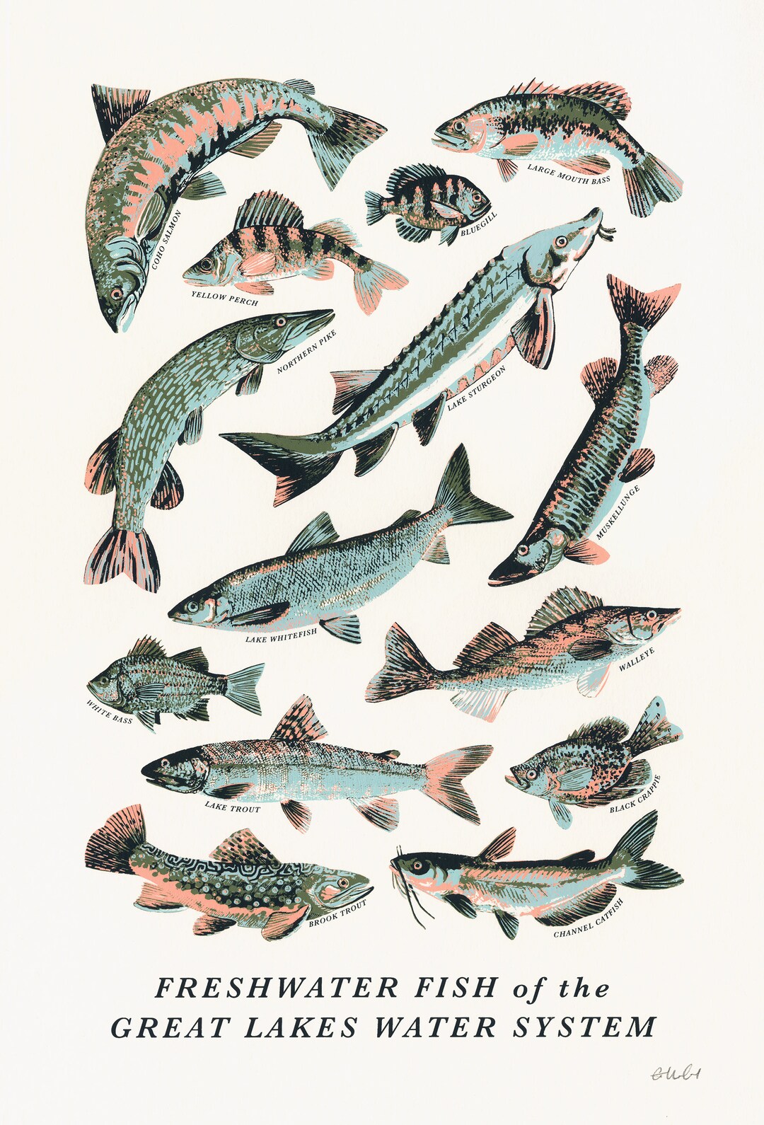 Freshwater Fish of the Great Lakes Water System Screenprint - Etsy