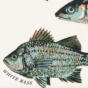 Freshwater Fish of the Great Lakes Water System Screenprint - Etsy