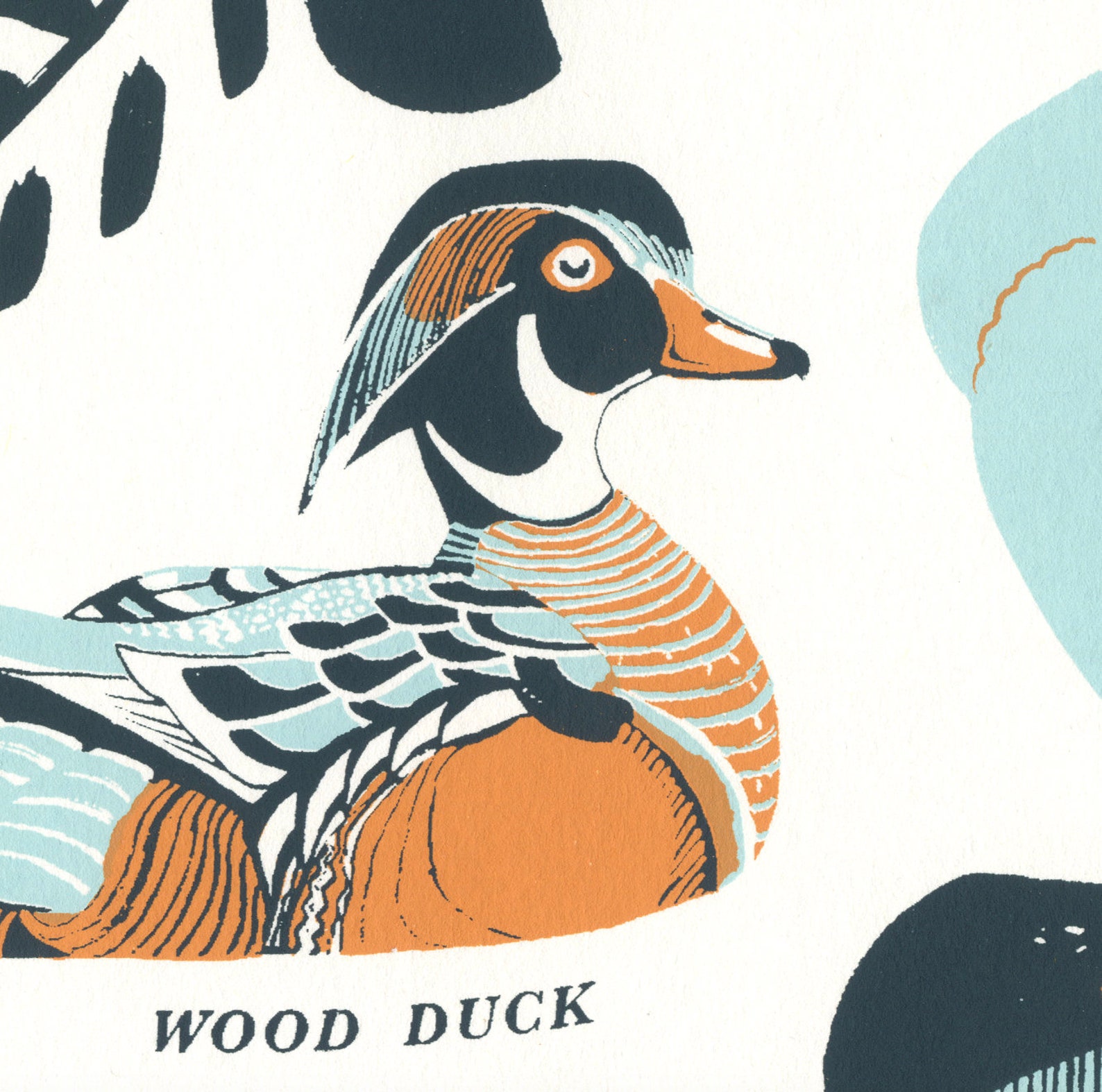 Water Birds of Michigan Screenprint - Etsy