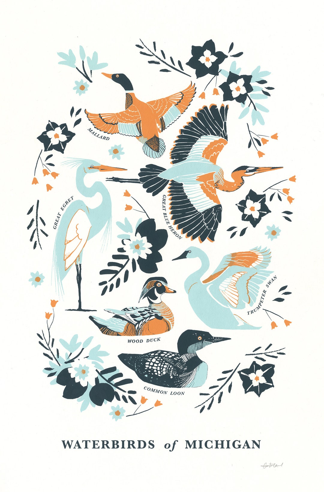 Water Birds of Michigan Screenprint - Etsy