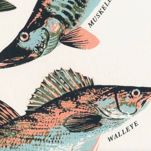 Freshwater Fish of the Great Lakes Water System Screenprint - Etsy