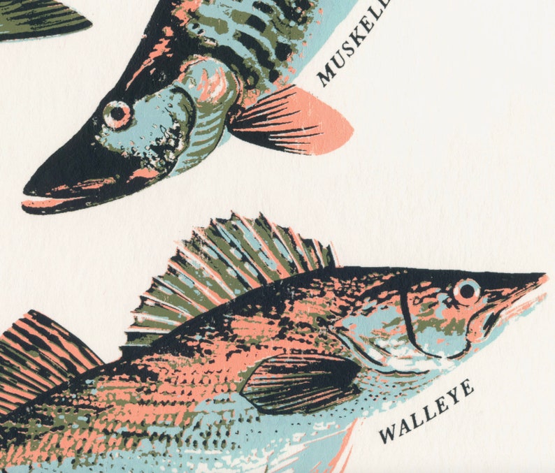 Freshwater Fish of the Great Lakes Water System Screenprint - Etsy