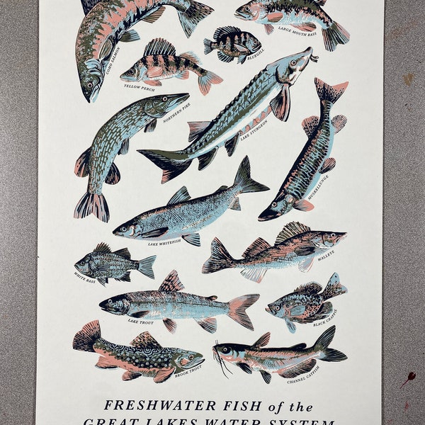 Fresh Water Fish Prints - Etsy