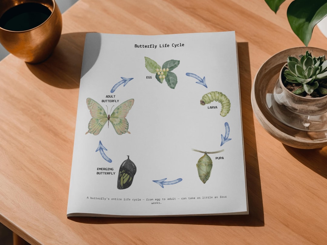 Butterfly Life Cycle Activity Pack | Homeschool Science Printable ...